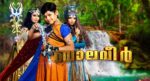 Kochu TV Malayalam Cartoon Channel Programs, Schedule