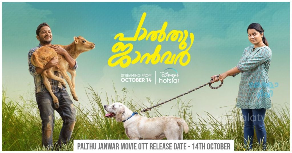 Palthu Janwar Movie OTT Release Date On Disney+Hotstar