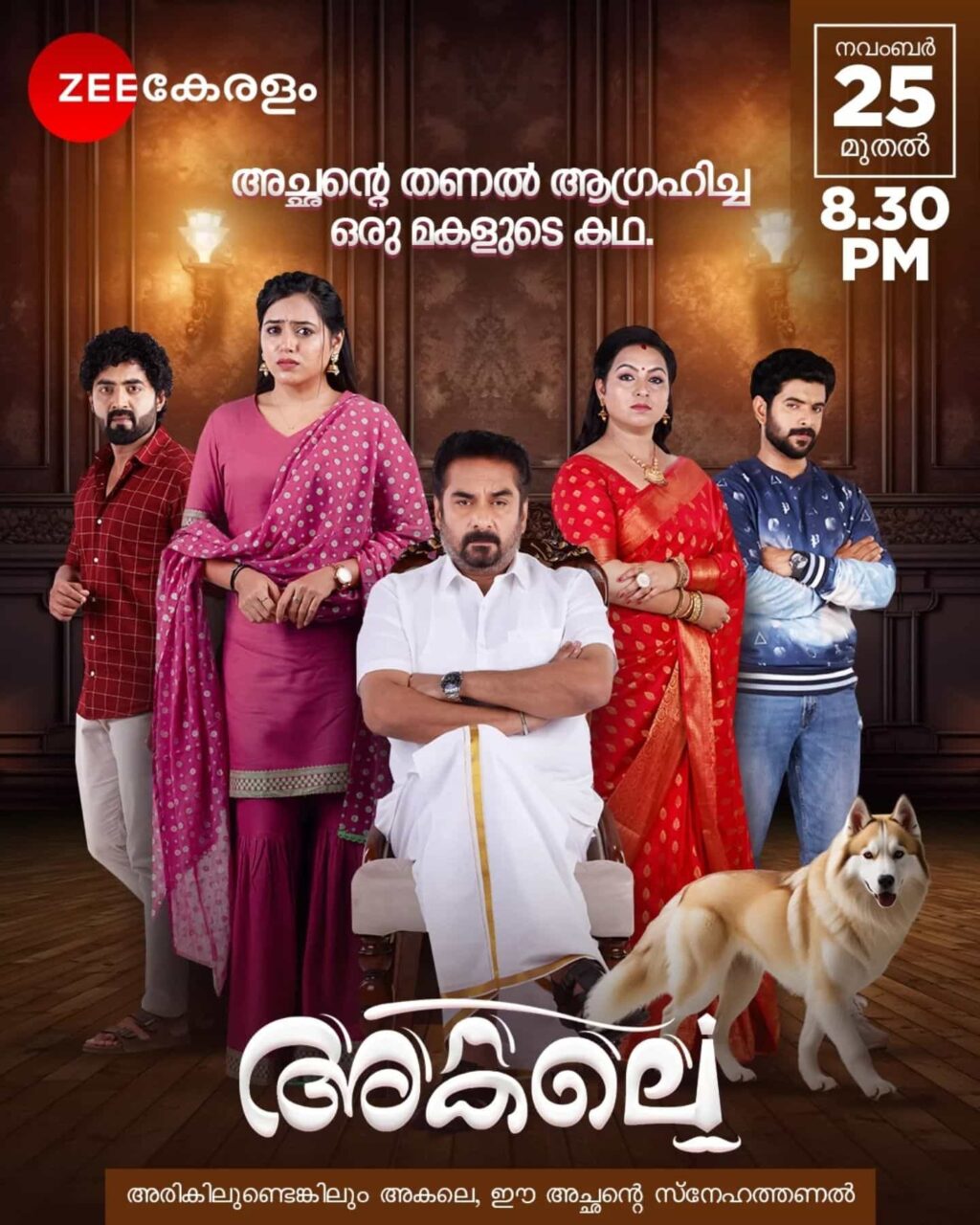 Akale Serial Zee Keralam, Find The Complete Star Cast - Characters and ...